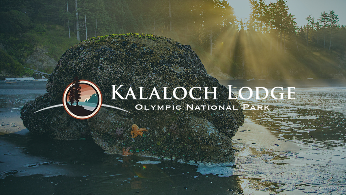 Proposal Request - Kalaloch Lodge Event Venue